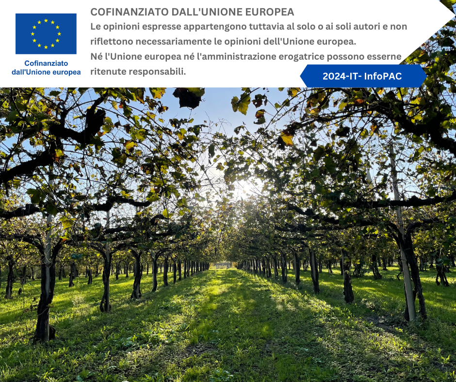 Il progetto 2024-IT-InfoPAC - TerraInnova