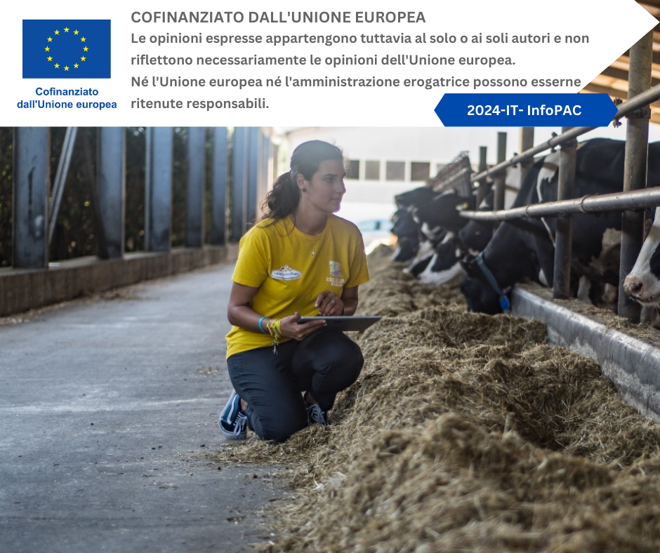 Rubrica "Discovering the CAP" - Eco-schema 1 – livello 1: ecco le ...